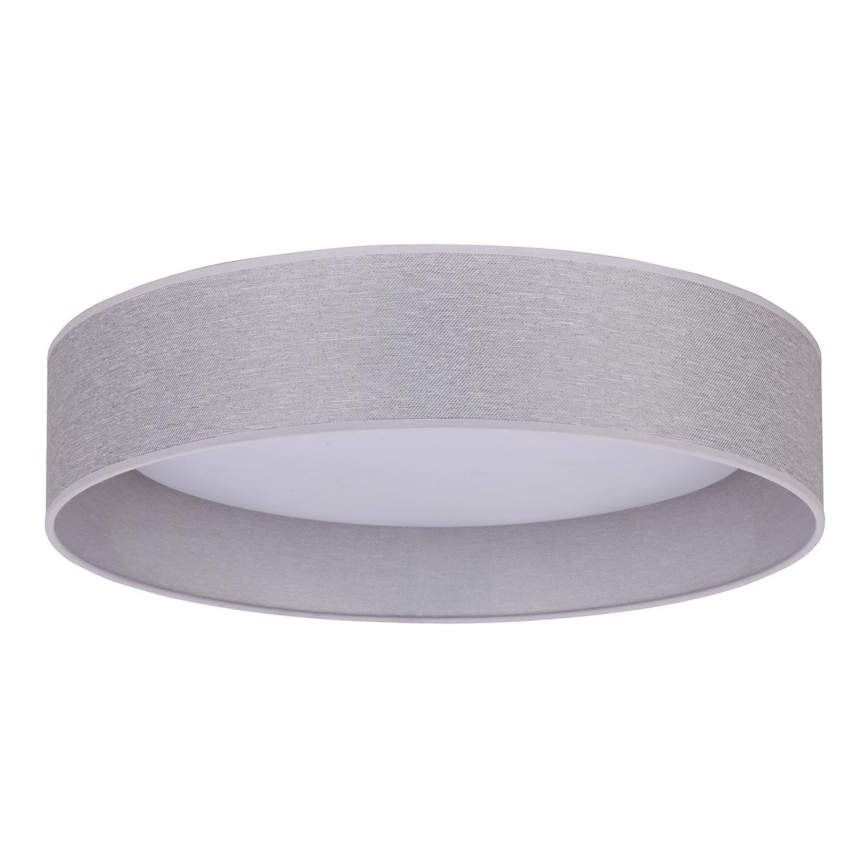 LED Stropna svetilka ROLLER LED/24W/230V svetlo siva | Svet svetil